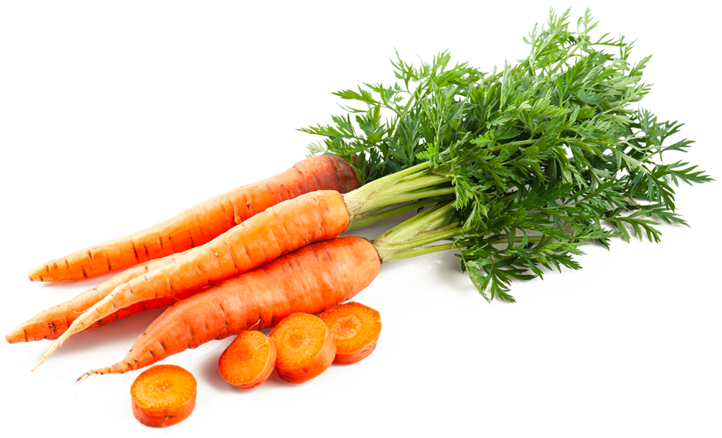 BioGarten Seeland AG – Ihr Partner für frisches Bio Gemüse und frische Bio Früchte